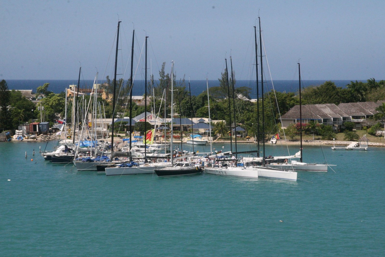 The 31st Biennial Pineapple Cup – Montego Bay Race Welcomes High ...